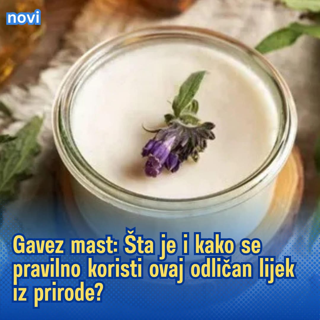 Gavez mast: Šta je i kako se pravilno koristi ovaj odličan lijek iz ...